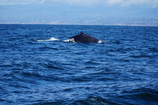 In Memoriam: Emily Honig (1953-2023) - Association for Asian Studies